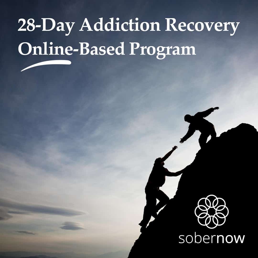Online Addiction Recovery Program & Coaching Support Group - Sober Now